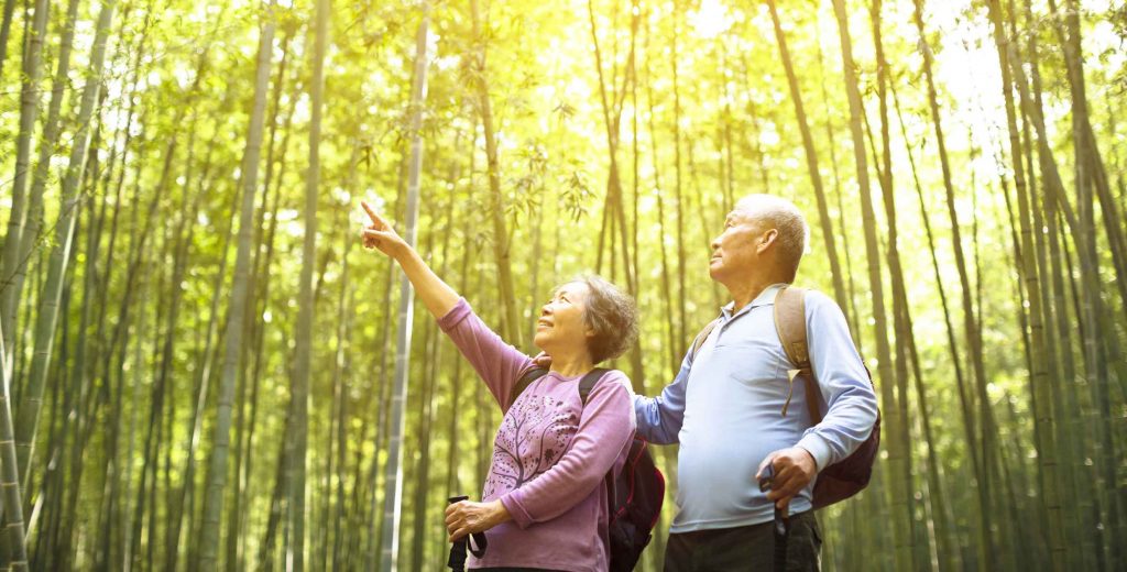 Florida Medicare assistance program options | medicareresources.org